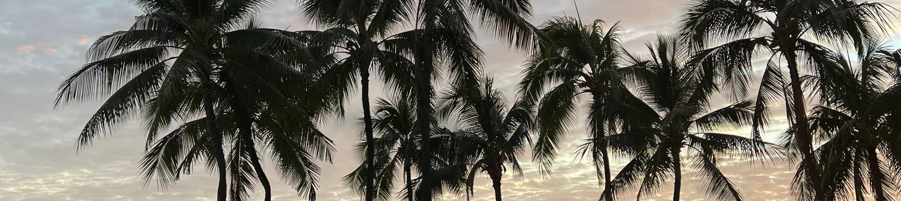 Landon Raynor's Amazon Page