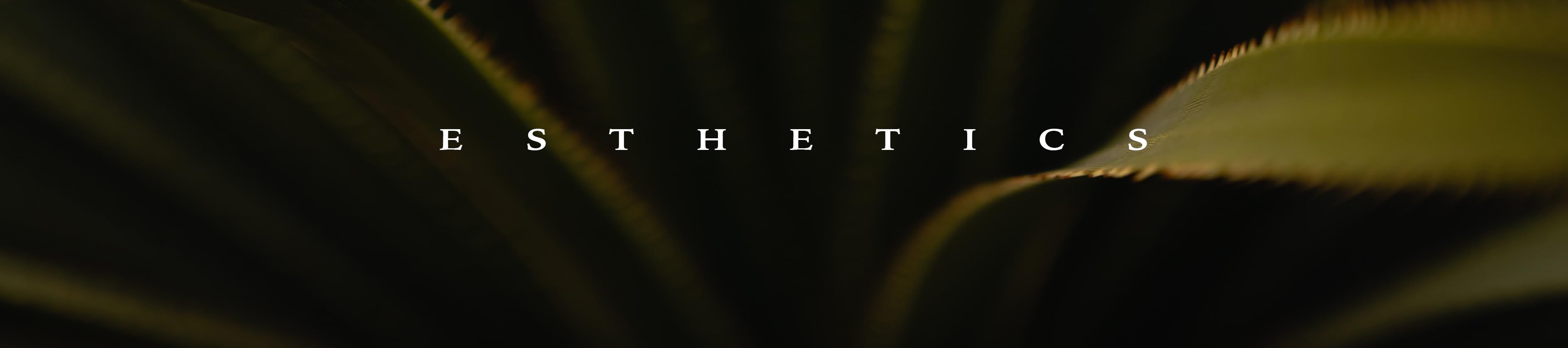 🧵Averyday Esthetics 🪡's Amazon Page