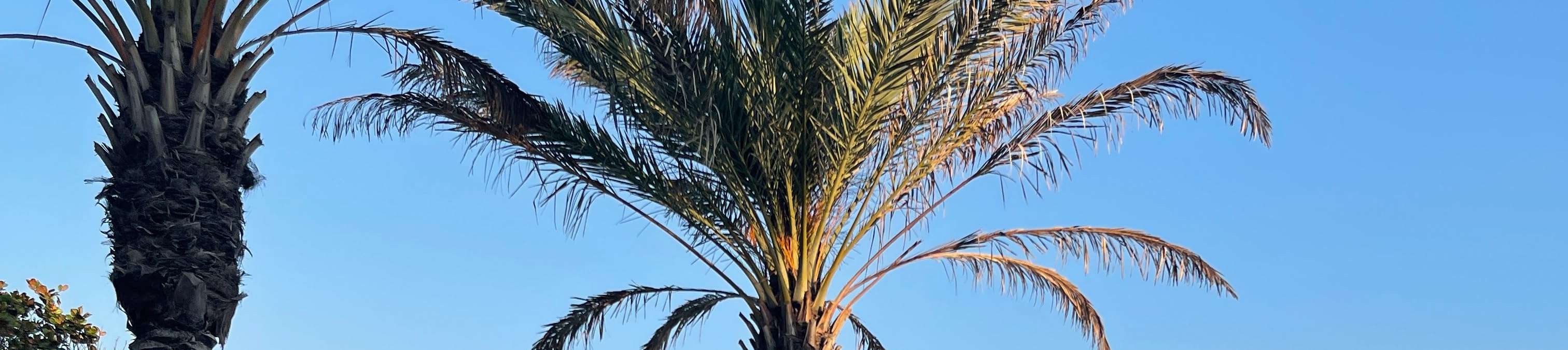 Natalie Robben's Amazon Page