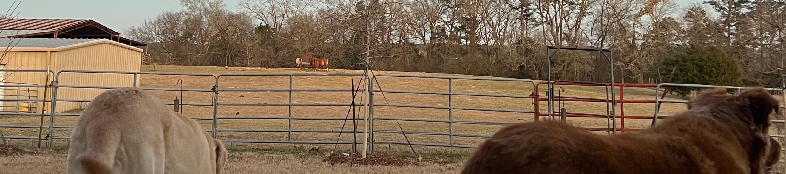 Heather Mclarry's Amazon Page