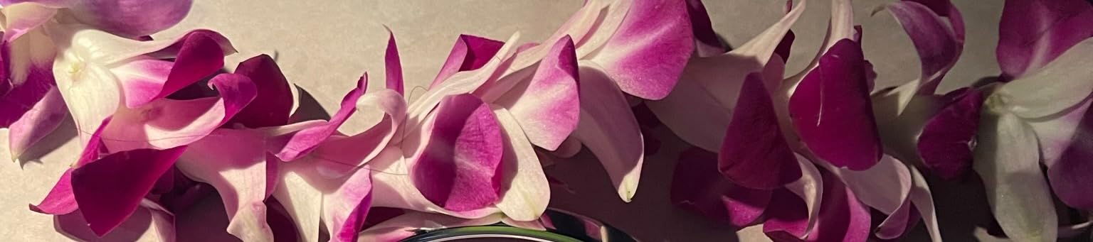 Milica Mrdjan's Amazon Page