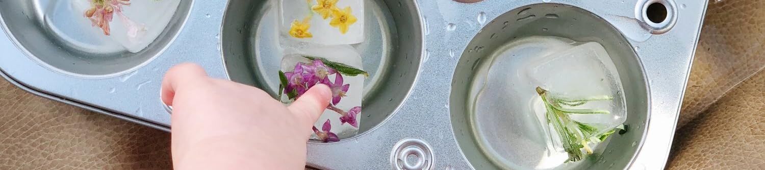 The Dismuke Family's Amazon Page