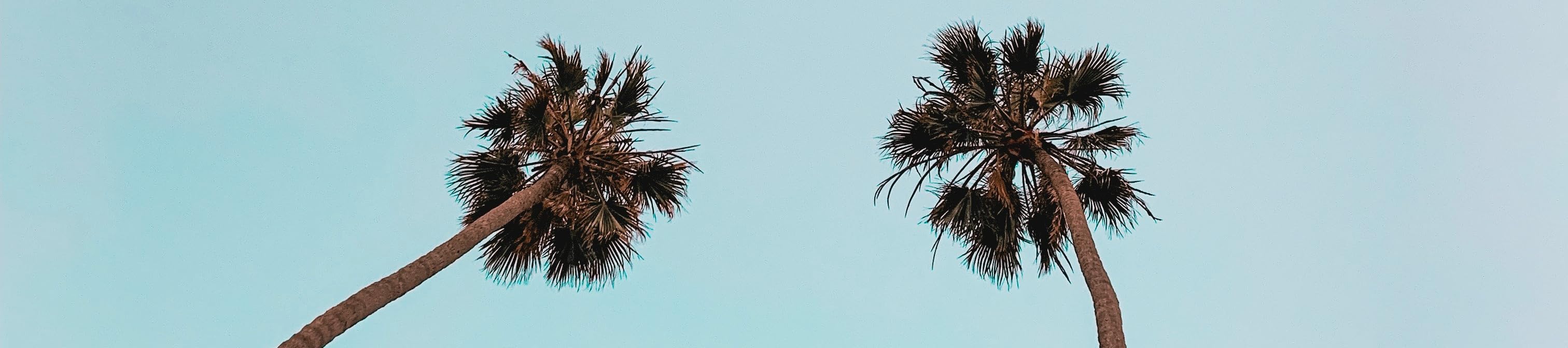 Jessica Craft's Amazon Page