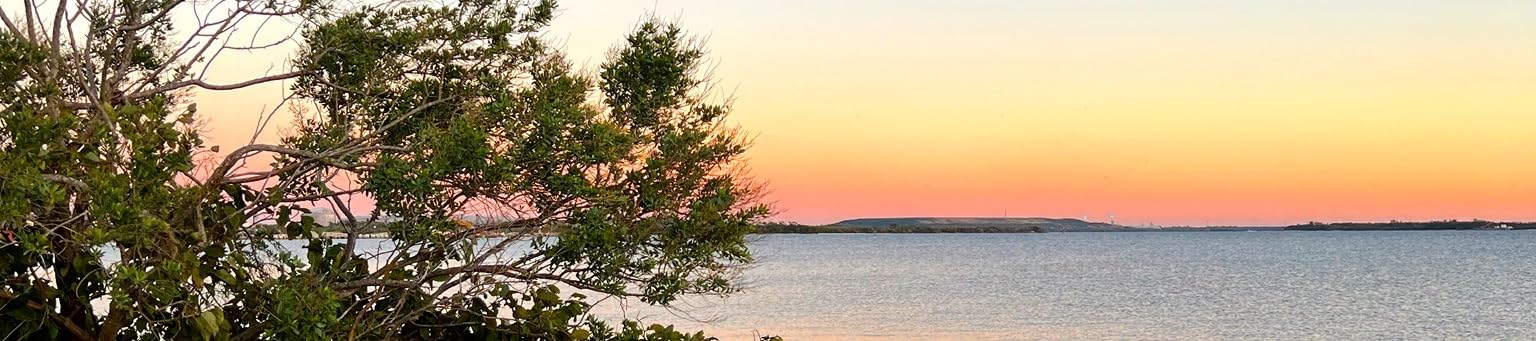 Allison Rossillo's Amazon Page