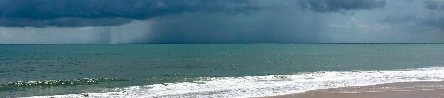 Coley Jens's Amazon Page