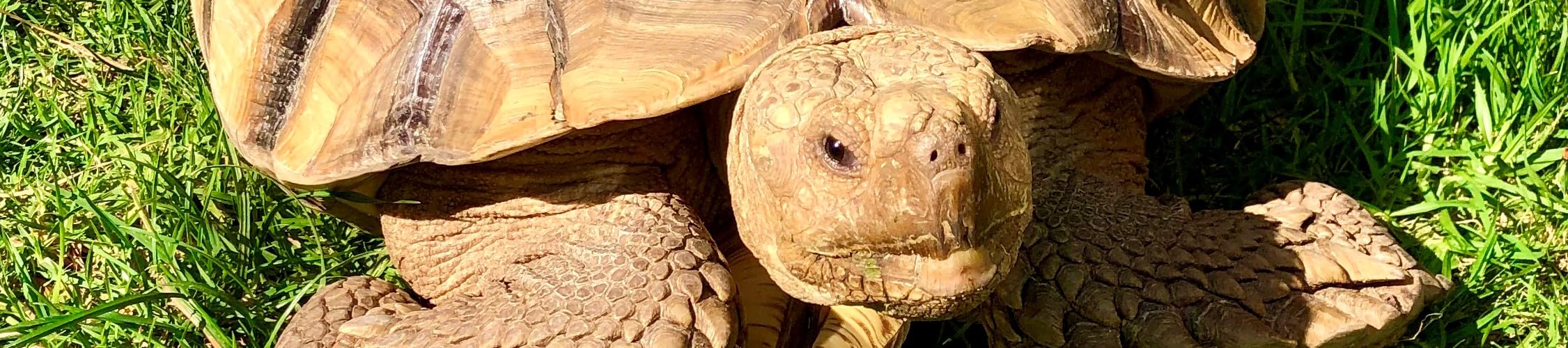 Tilly G's Favorite Stuff's Amazon Page