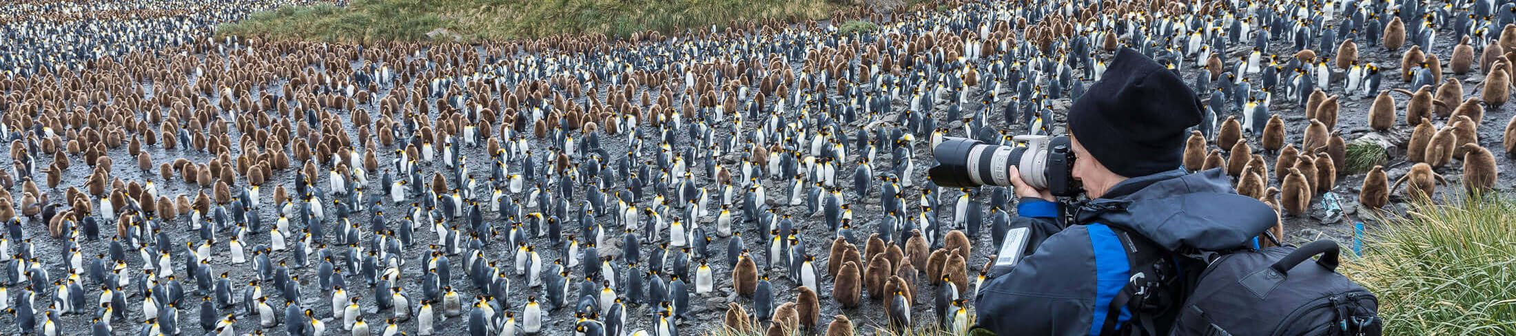 Susan Portnoy, The Insatiable Traveler's Amazon Page