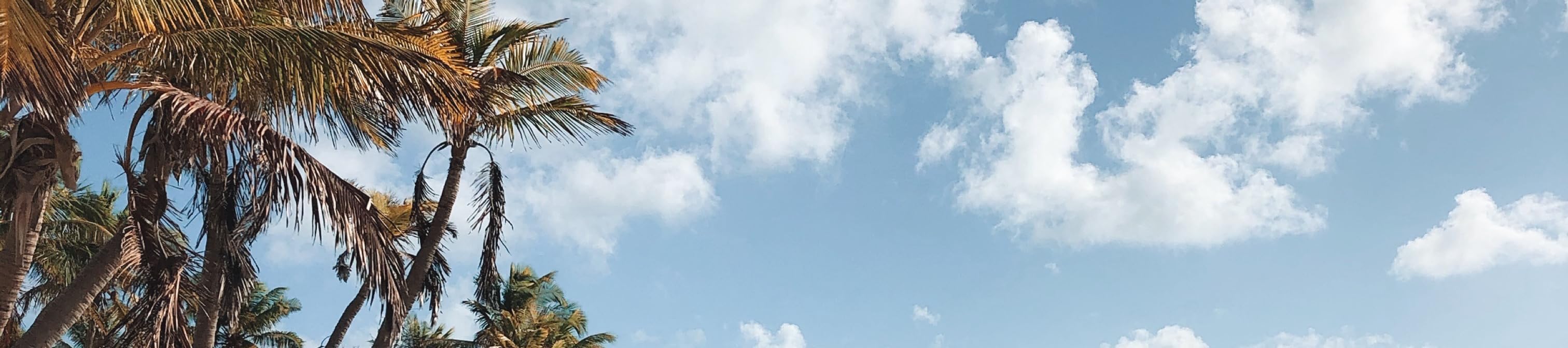 Danny Devan's Amazon Page