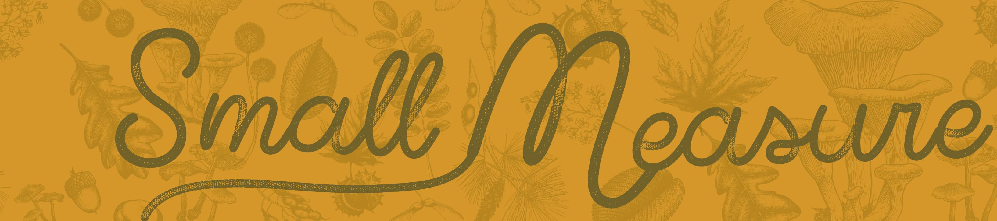 Small Measure's Amazon Page