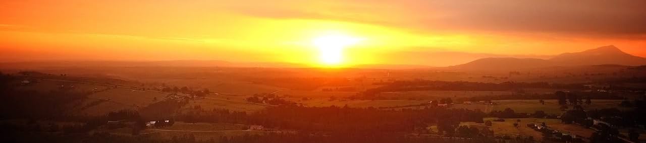 Reigning Ryan's Amazon Page