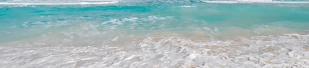 Chelsea Ng's Amazon Page