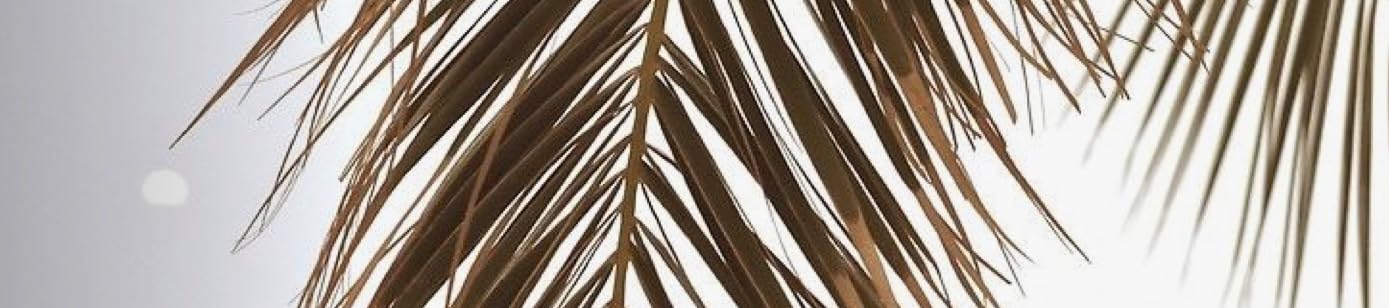 Sarah Seay's Amazon Page