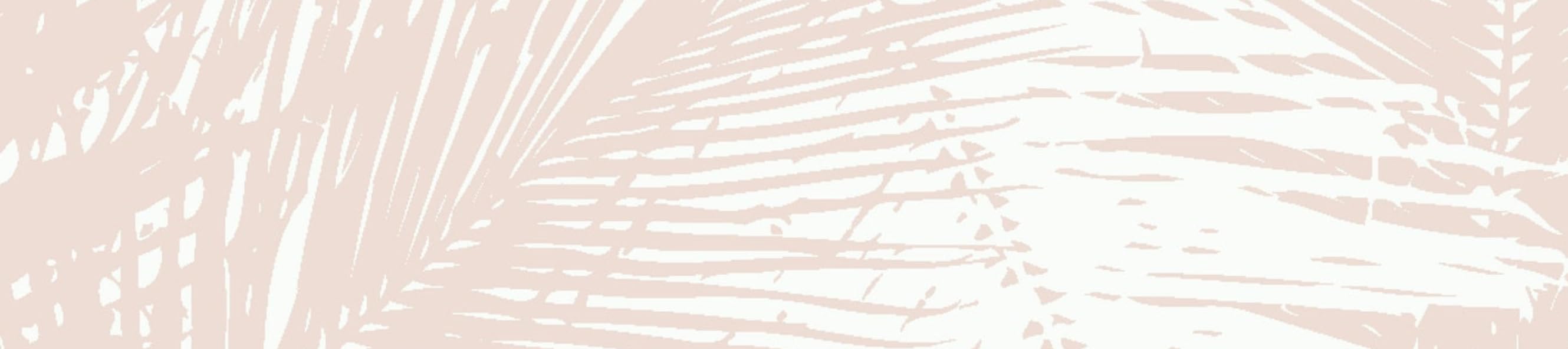 Codie Cabral's Amazon Page