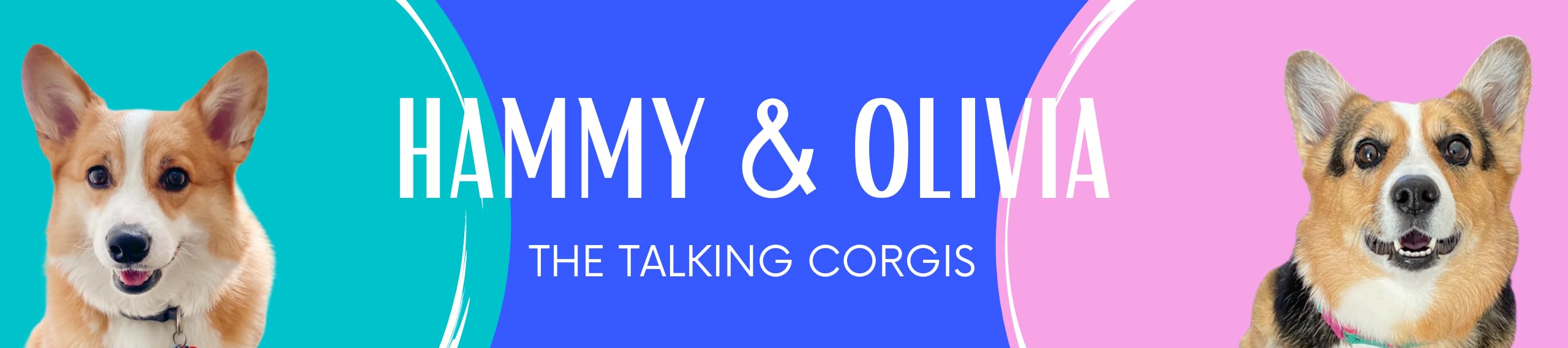 Hammy & Olivia's Favorite Things's Amazon Page