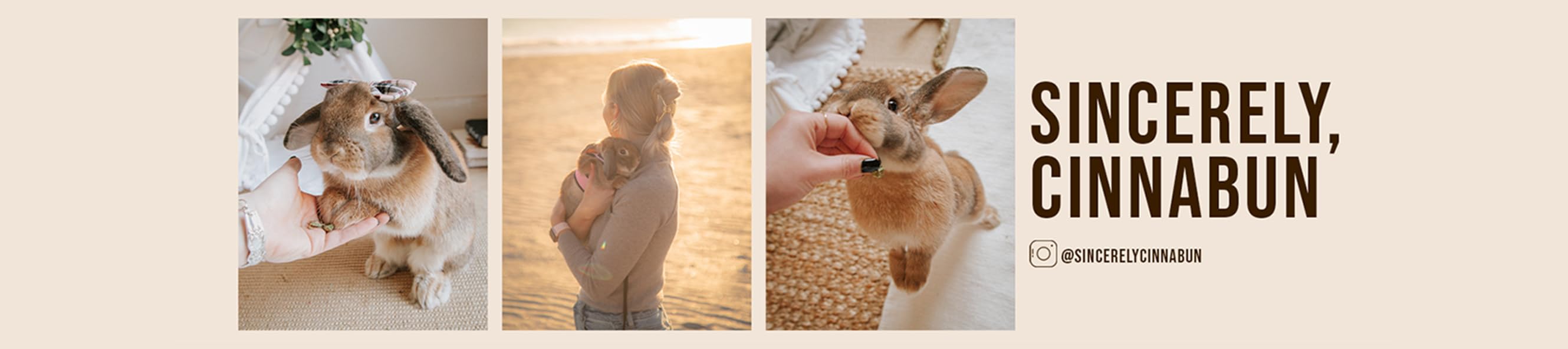 Cinnabun's Favorites's Amazon Page