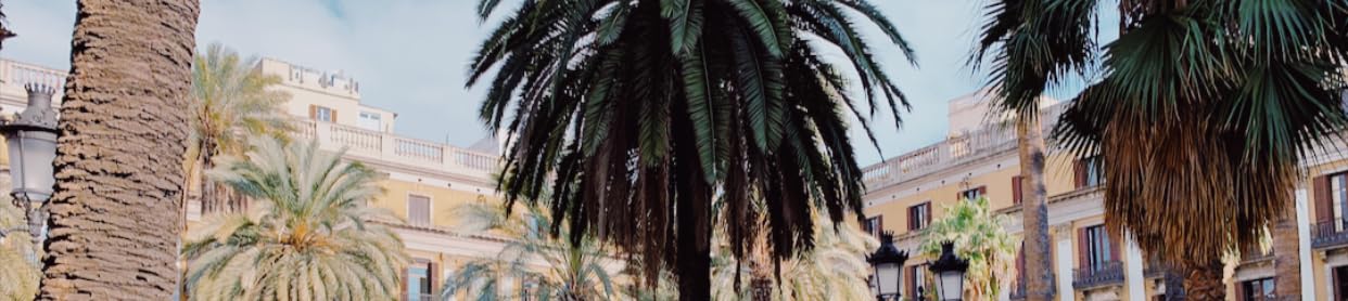 Tabitha Templer's Amazon page