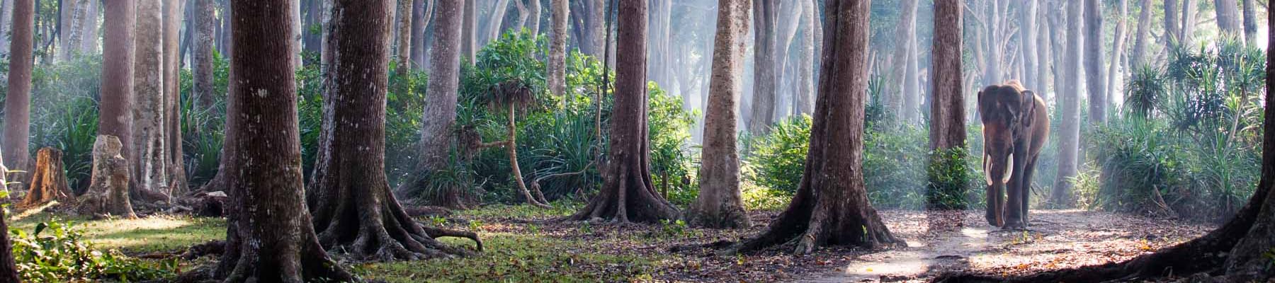 Jody MacDonald Photography's Amazon Page