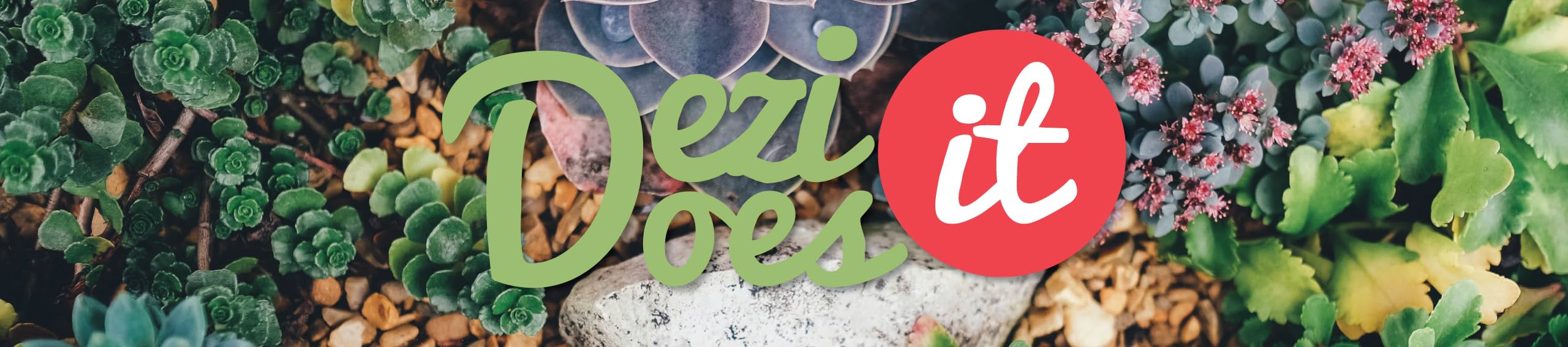 Dezi Does It's Amazon Page