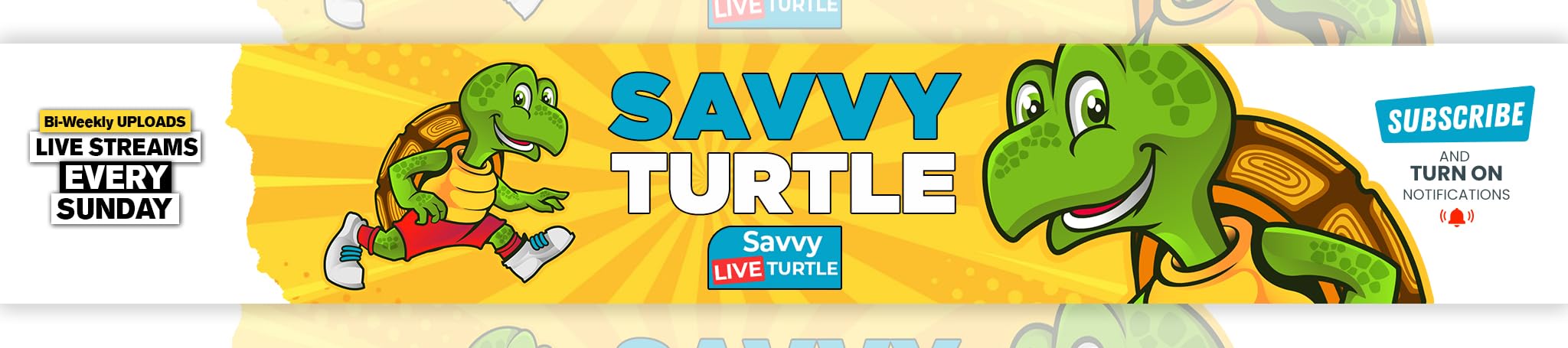 Savvy Turtle® Creator Shop's Amazon Page