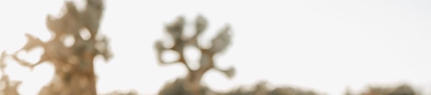 Andrea Fry's Amazon Page