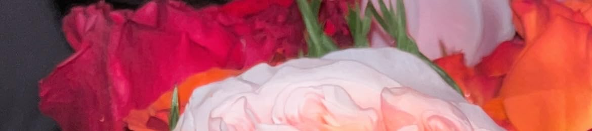 Hanna Randall's Amazon Page