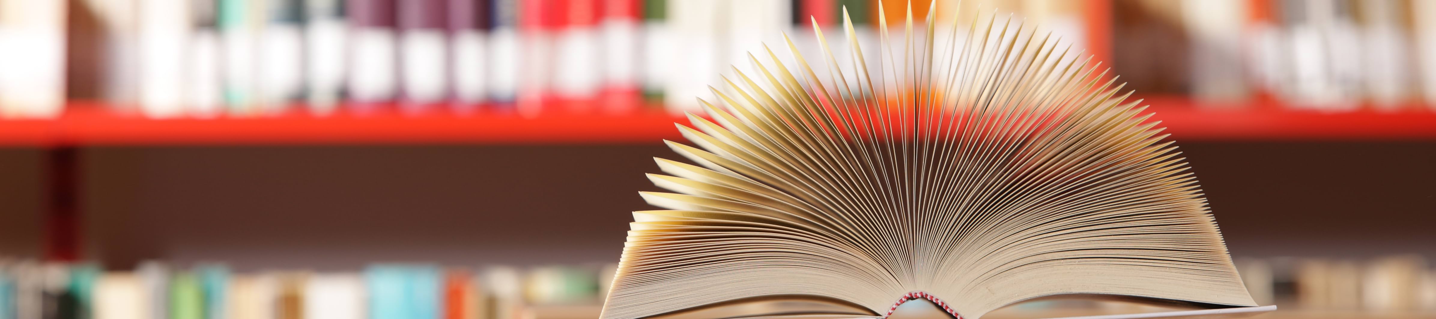 Line upon Line Learning's Amazon Page