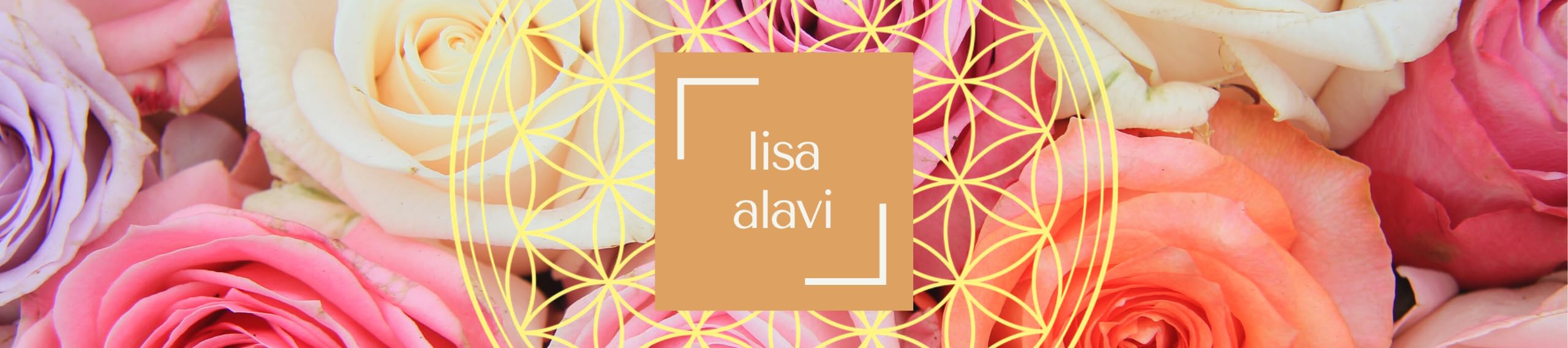 Lisa Alavi's Amazon Page