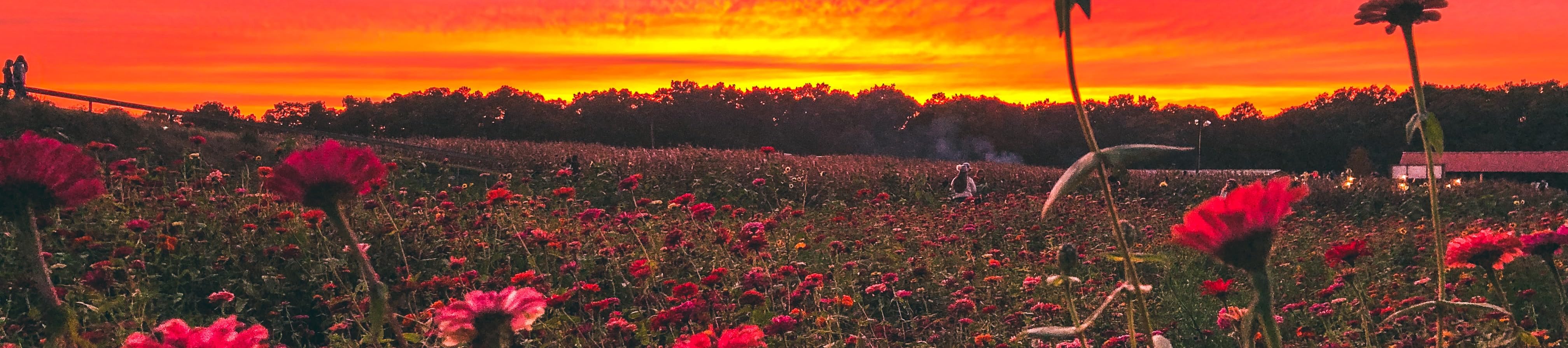 Caitlyn Patterson's Amazon Page