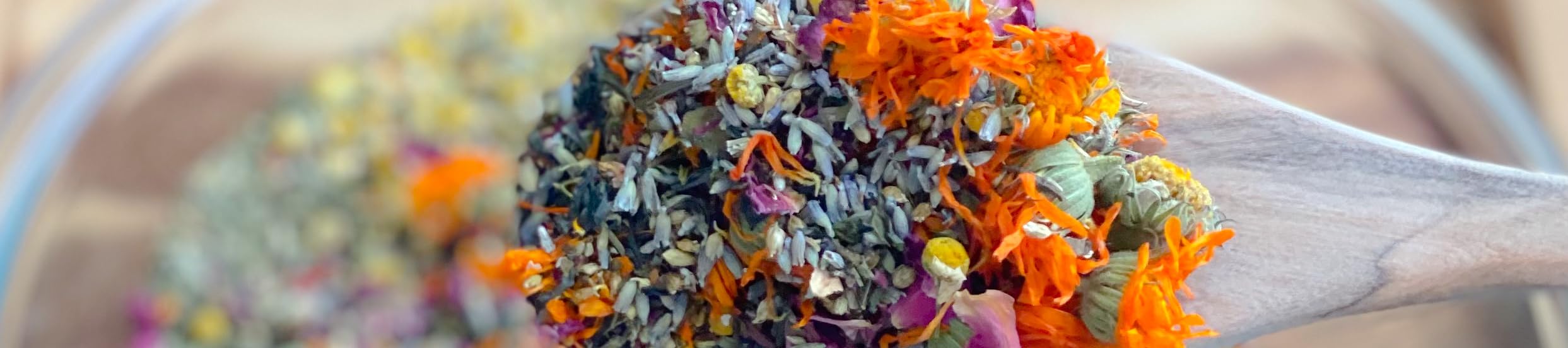 Earth Essentials by Erica Amazon Store's Amazon Page