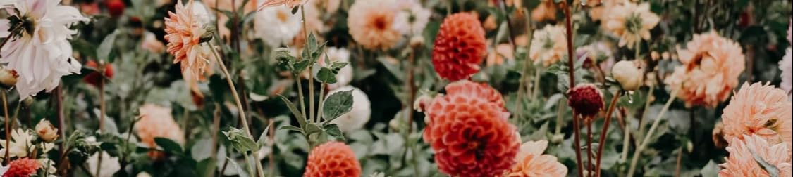 Vallyxoxo's Amazon Page