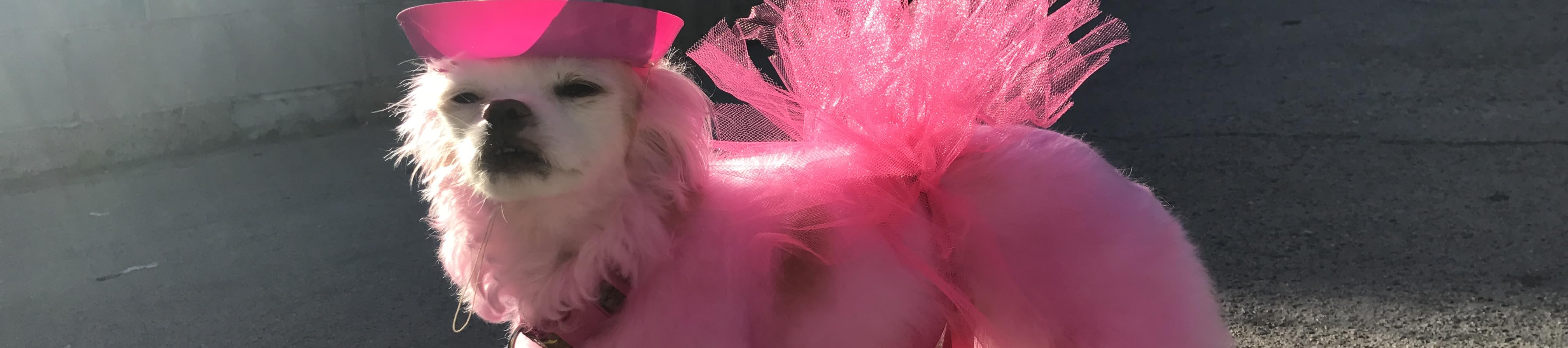 Natch Beaut® and Jackie J's Store's Amazon Page