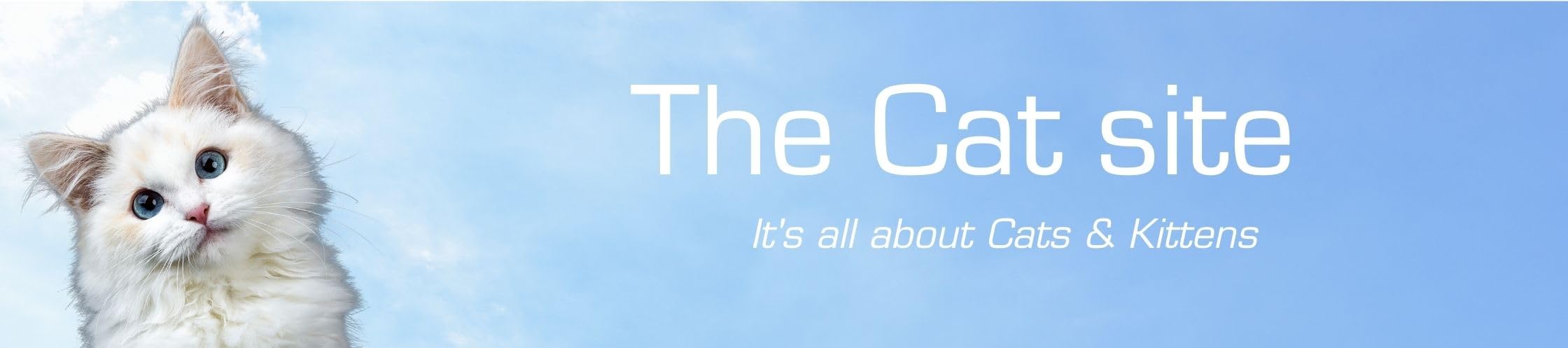 The Cat site - Shop the Best Cat supplies and Kitten supplies ...