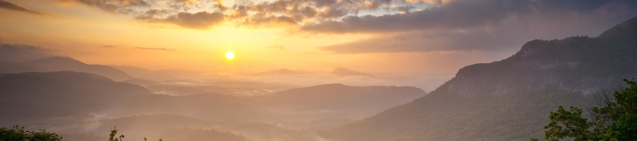 Samrawit Asfaw's Amazon Page