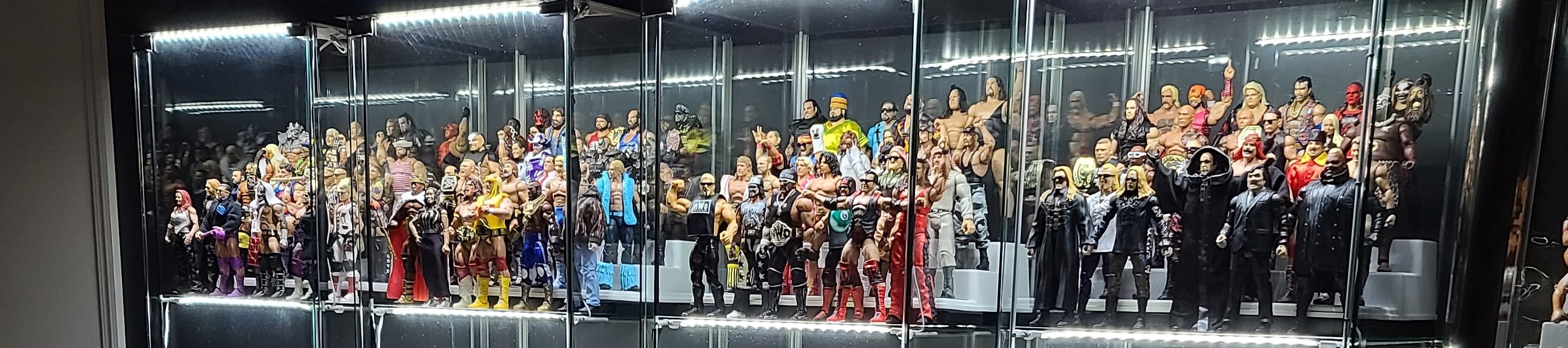 THE FIG VAULT's Amazon Page