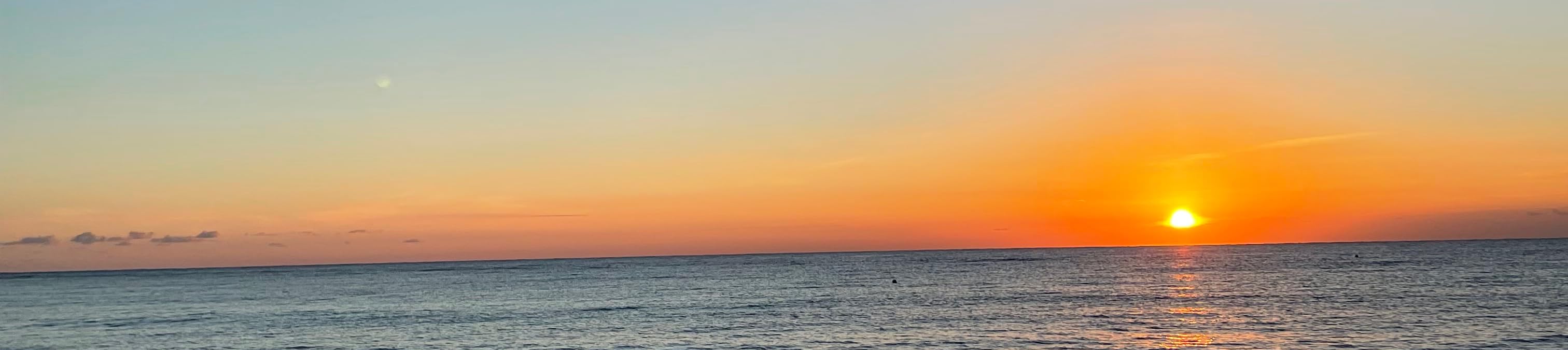 Martina's Amazon Page