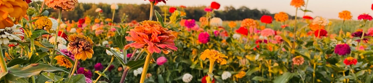 Jamie Overstreet's Amazon Page