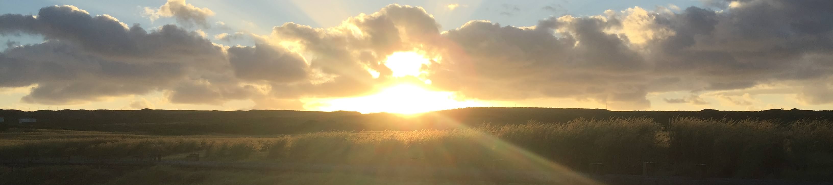 Japan Treasure Hunters's Amazon Page