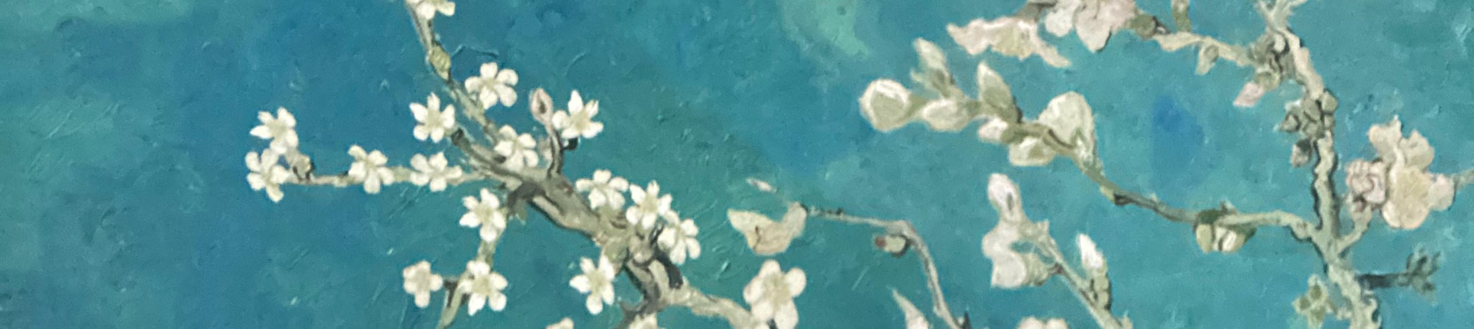 Jayonna's Amazon Page