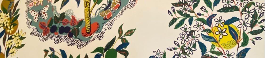 Jennifer Shipe's Amazon Page