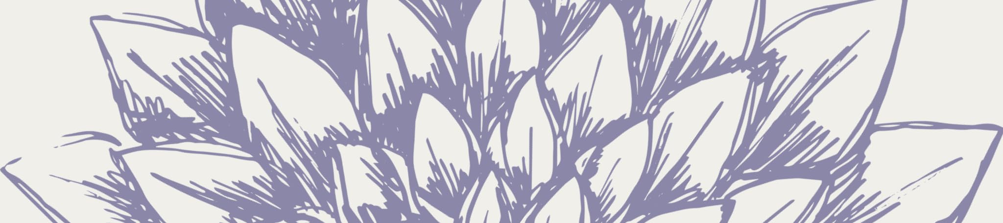 Jill Krapf MD's Amazon Page