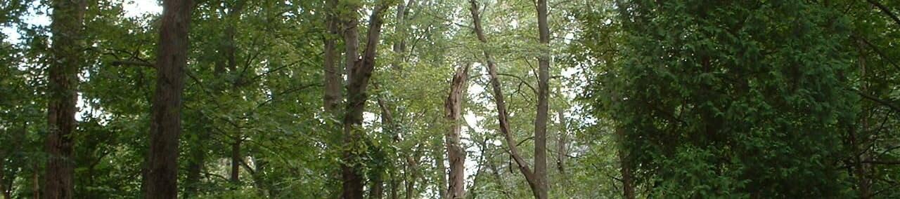 John R Pierce's Amazon Page