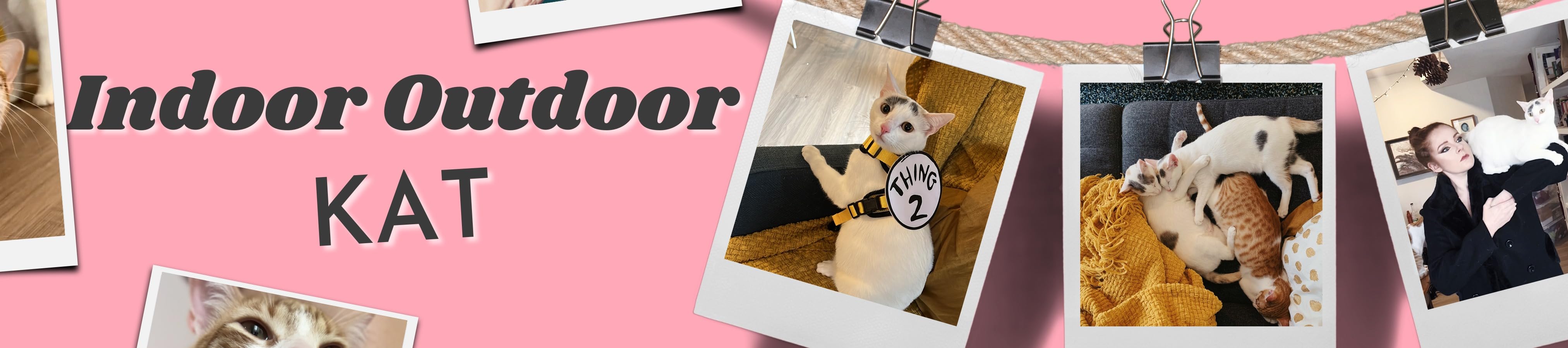 Indoor Outdoor Kat's Amazon Page