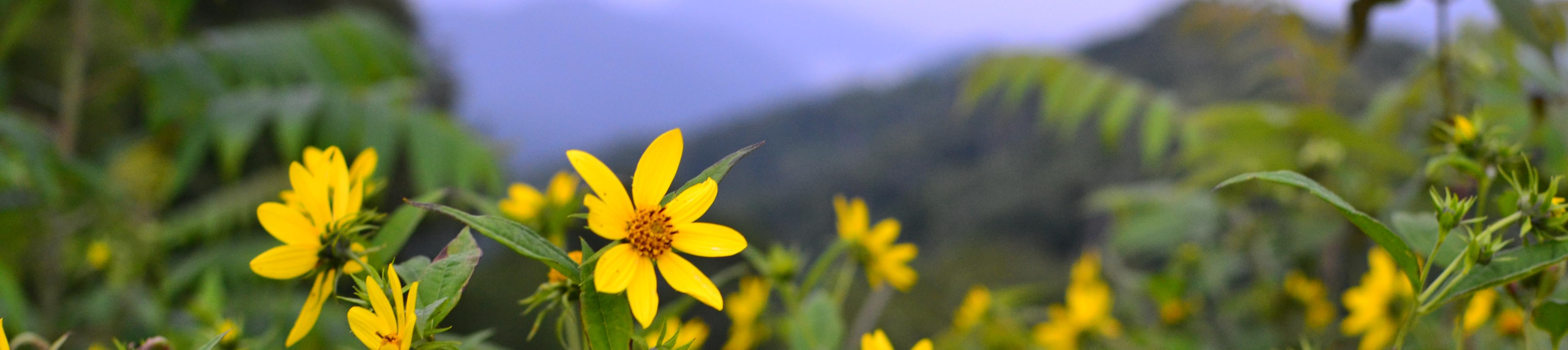 Kristen Dorr's Amazon Page