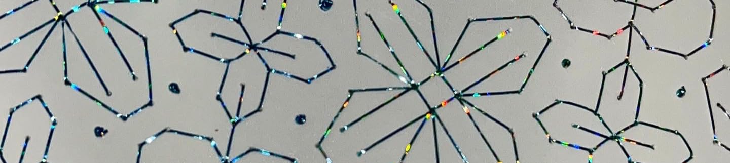 Lady Lauren Stitching's Amazon Page