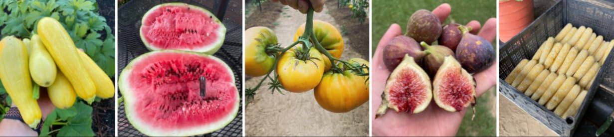 Lazy Dog Farm's Amazon Page