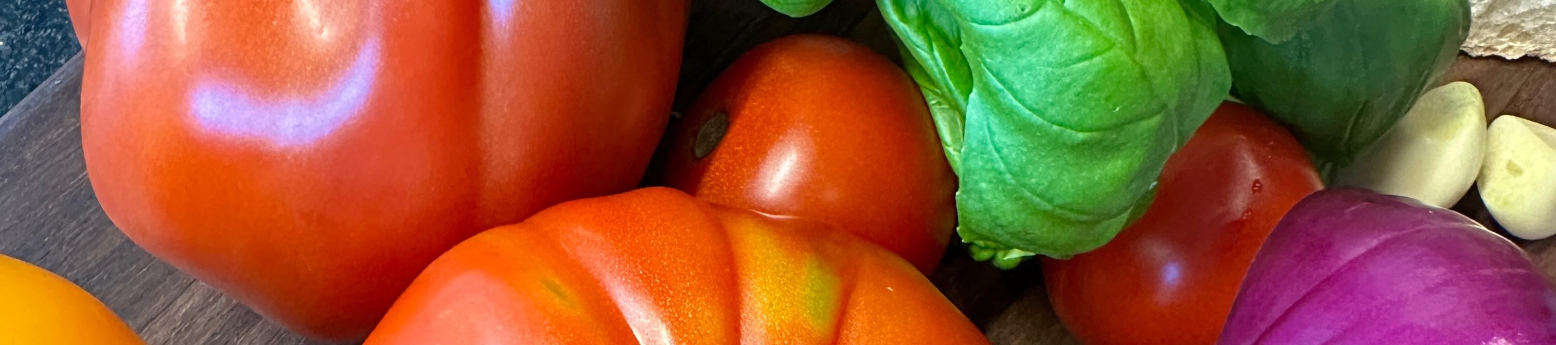 Leslie Stern's Amazon Page