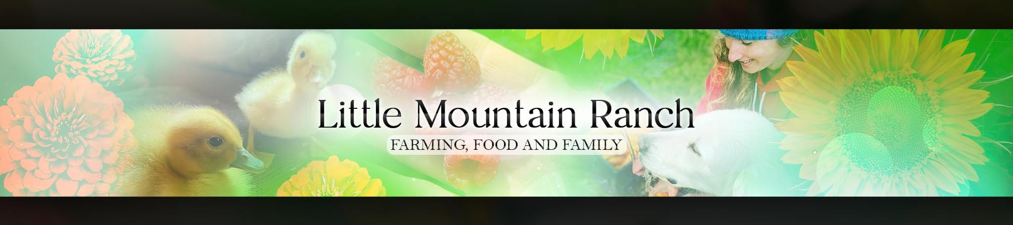Little Mountain Ranch's Amazon Page