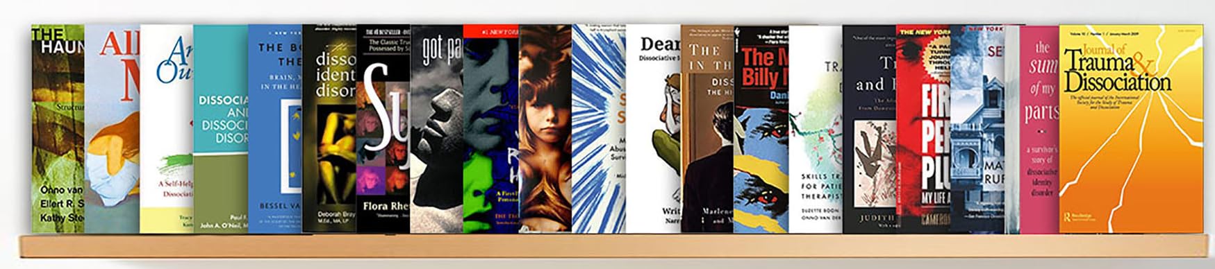 Página de Amazon de LongSoulSystem. TID, Trauma y Disociación