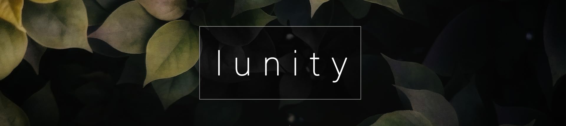 Lunity's Amazon Page