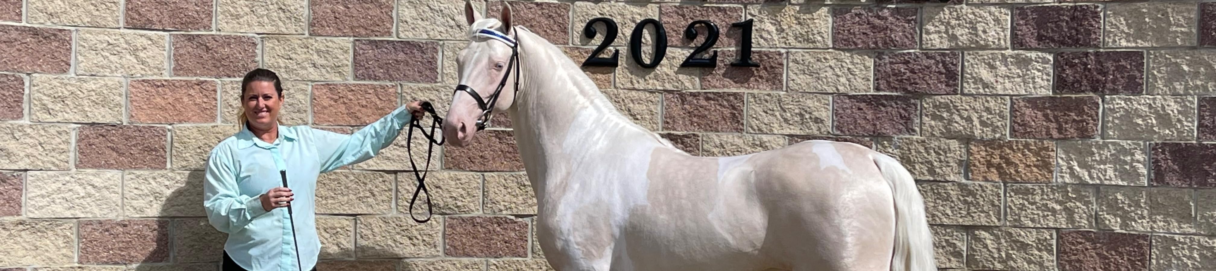 Lyssa Marcum's Amazon Page